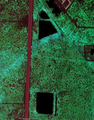 Index of /vdelivery/Datasets/Staged/Elevation/LPC/Projects/FL ...