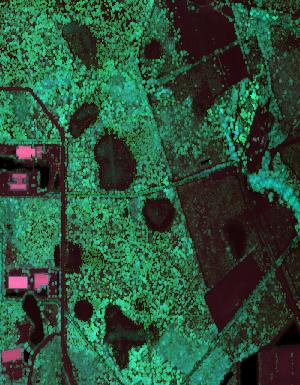 Index of /vdelivery/Datasets/Staged/Elevation/LPC/Projects/FL ...