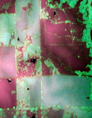 Index of /vdelivery/Datasets/Staged/Elevation/LPC/Projects/MS_Coastal ...