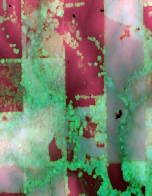 Index of /vdelivery/Datasets/Staged/Elevation/LPC/Projects/MS_Coastal ...