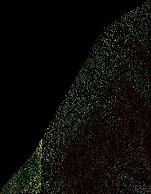 Untitled Document [rockyweb.usgs.gov]