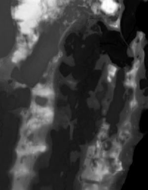 Untitled Document [rockyweb.usgs.gov]